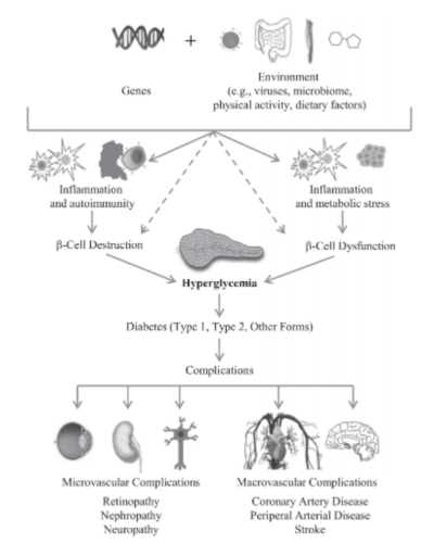 Virtu DigiLab | Aspek Pemeriksaan Laboratorium Pada Diabetes Melitus Tipe 1