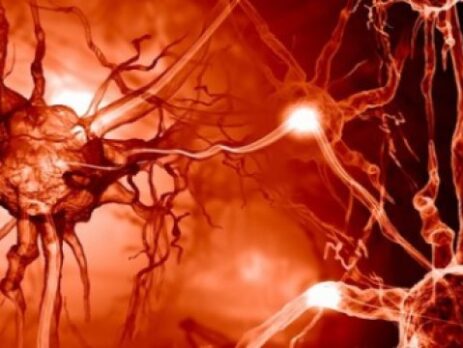 Virtu DigiLab | 7 Penyakit yang Bisa Diketahui dengan Cek Darah